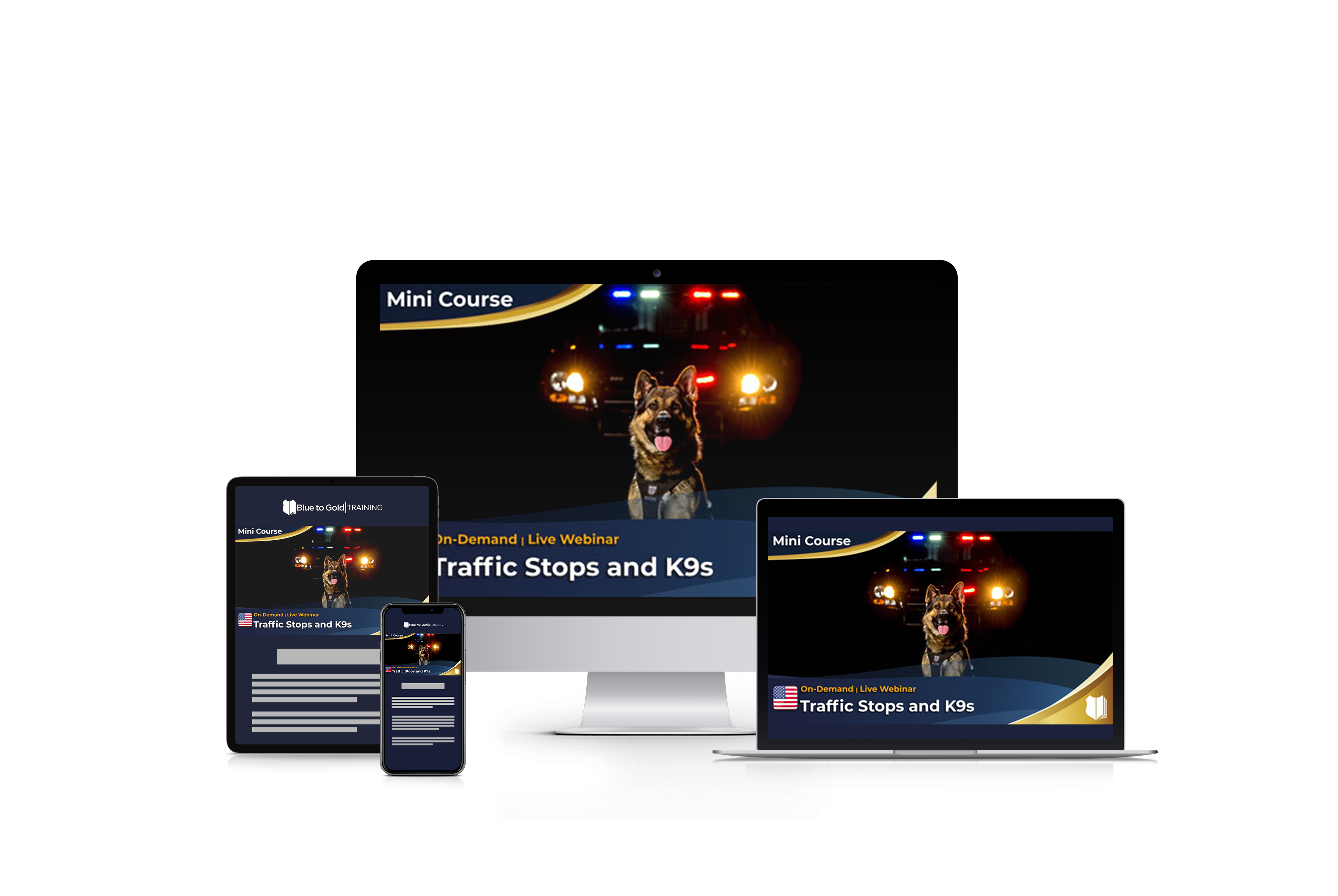 Traffic Stops & K9's - Mini Course Downloads – Blue to Gold Store